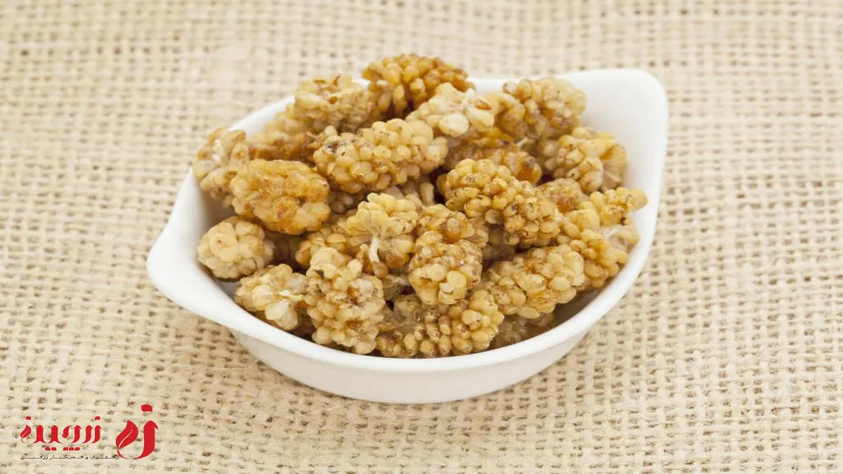 خواص توت خشک | خواصی که تا به حال نشنیده‌اید | زرچین